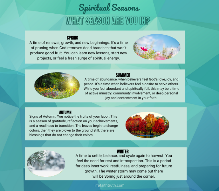 The Spiritual Seasons Of Life-What Are They And What Season Are You In ...